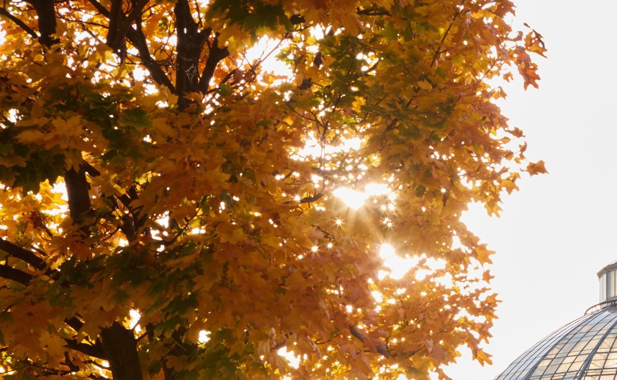 Fall in Michigan: The Perfect Family Getaway - Parents Need Love